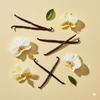Vanilla Dusting Powder- Talc-free, soothing, deodorizing powder gentle ...