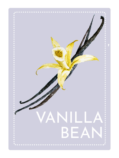 Vanilla Dusting Powder – Herb & Root | Perfumes, Dusting Powders and ...